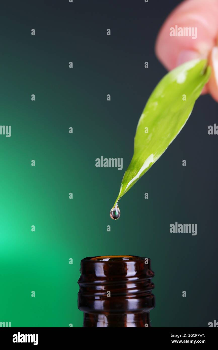 Drop falling from leaf on green background Stock Photo - Alamy