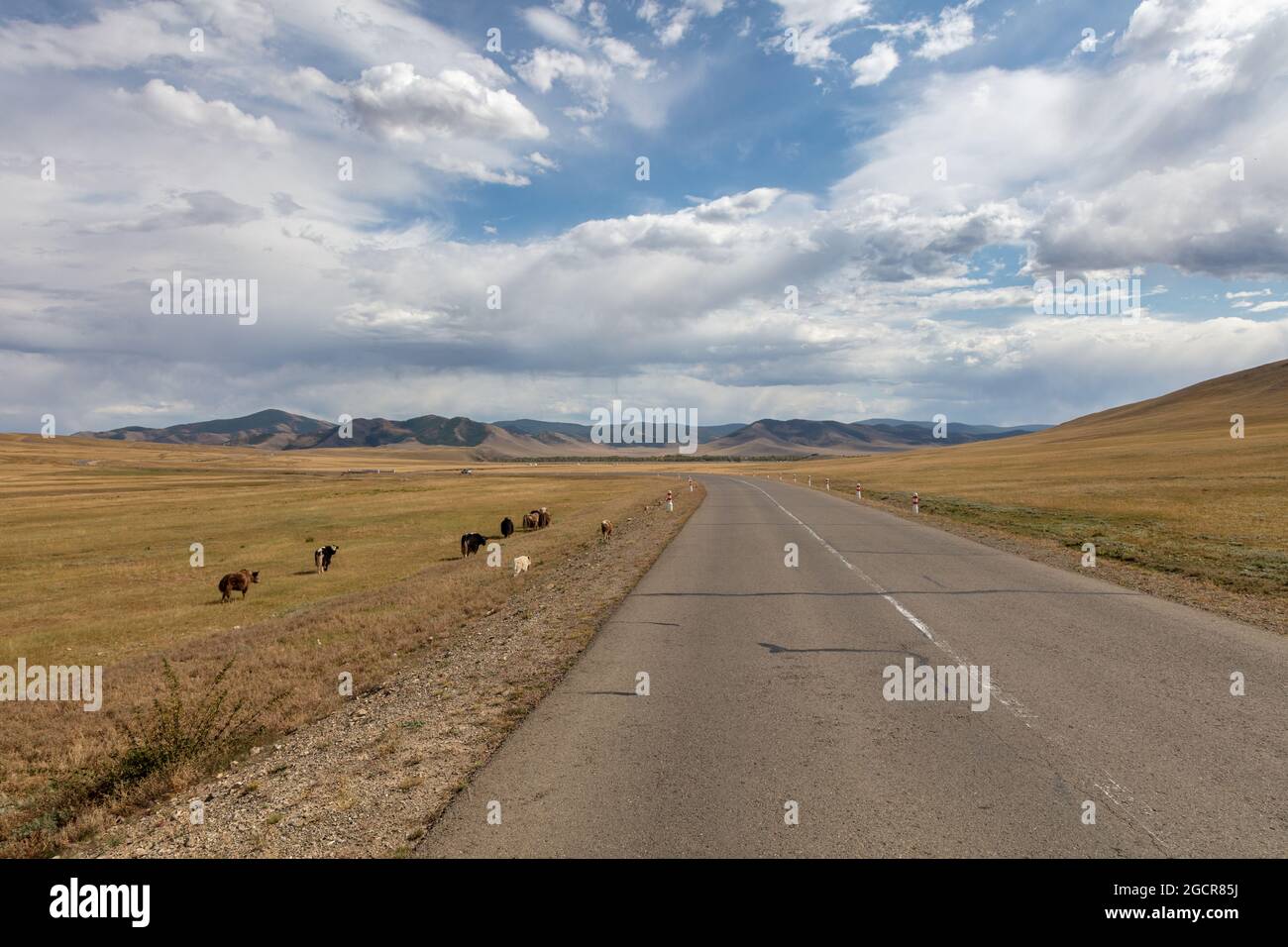 The road to nowhere, at the mongolian steppe. The, so called highway ...