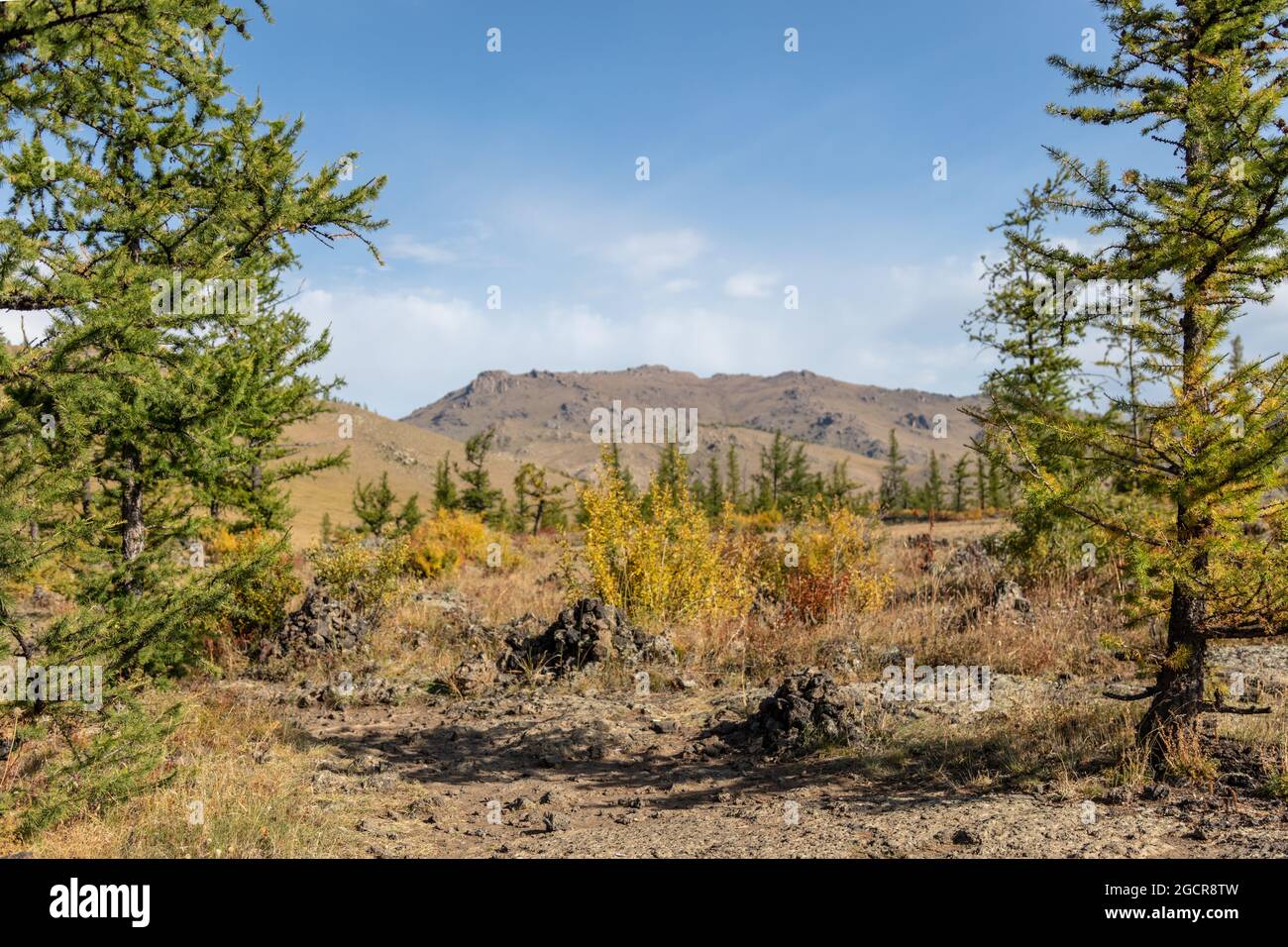 Batar hi-res stock photography and images - Alamy