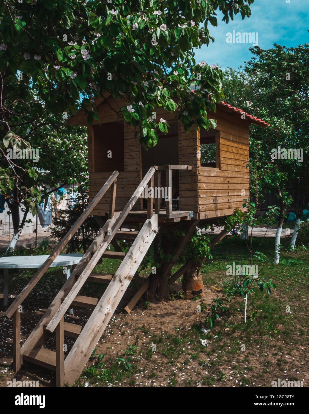 Cute wooden treehouse in the garden Stock Photo - Alamy