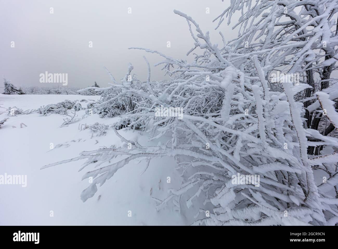 Snowy winter landscape at east german mountain Erzgebirge. At the peak ...