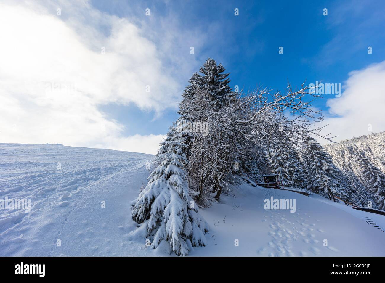 Snowy winter landscape at east german mountain Erzgebirge. At the peak ...