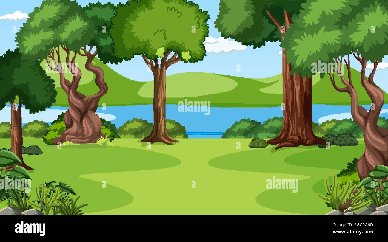 Blank forest at daytime scene with various forest trees illustration ...