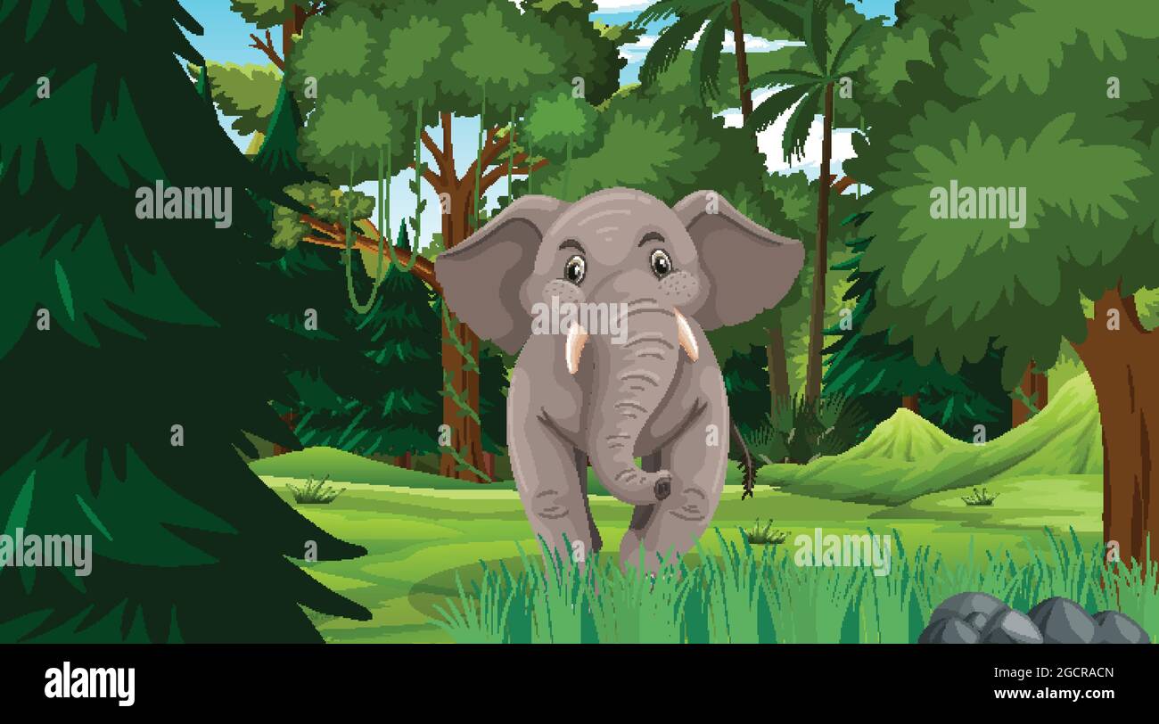 Elephant in forest or rainforest scene with many trees illustration ...