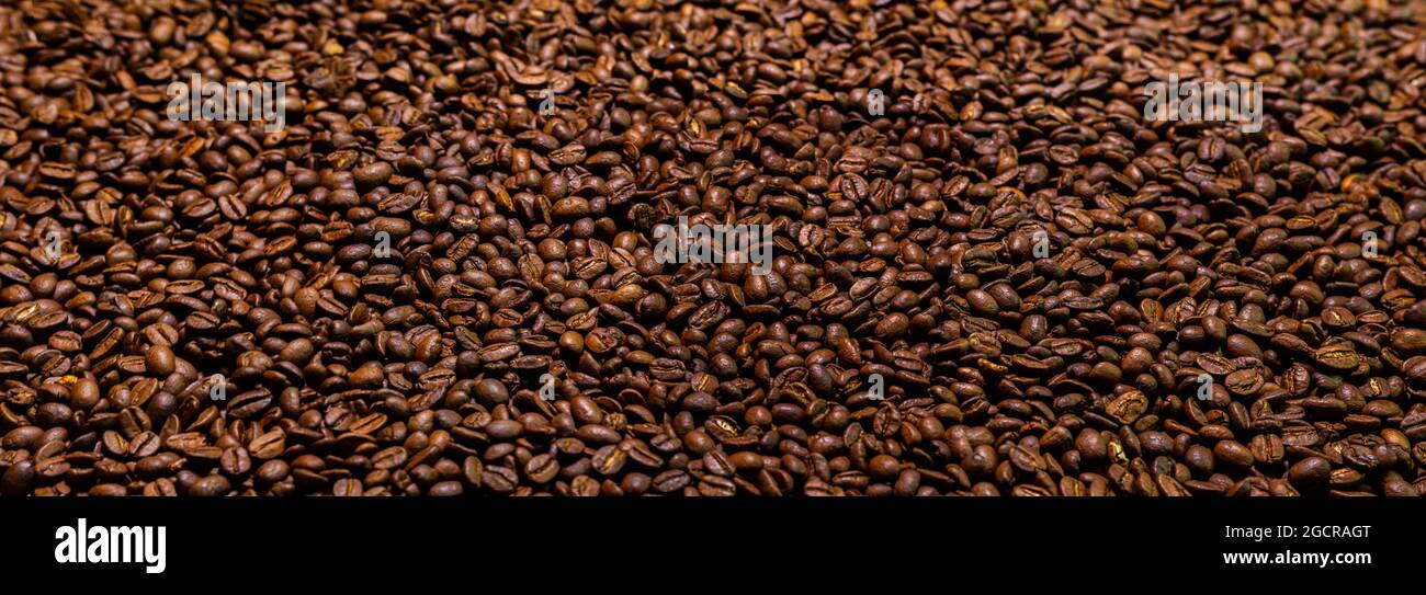 Super large high resolution panorama macro photography of a huge heap ...