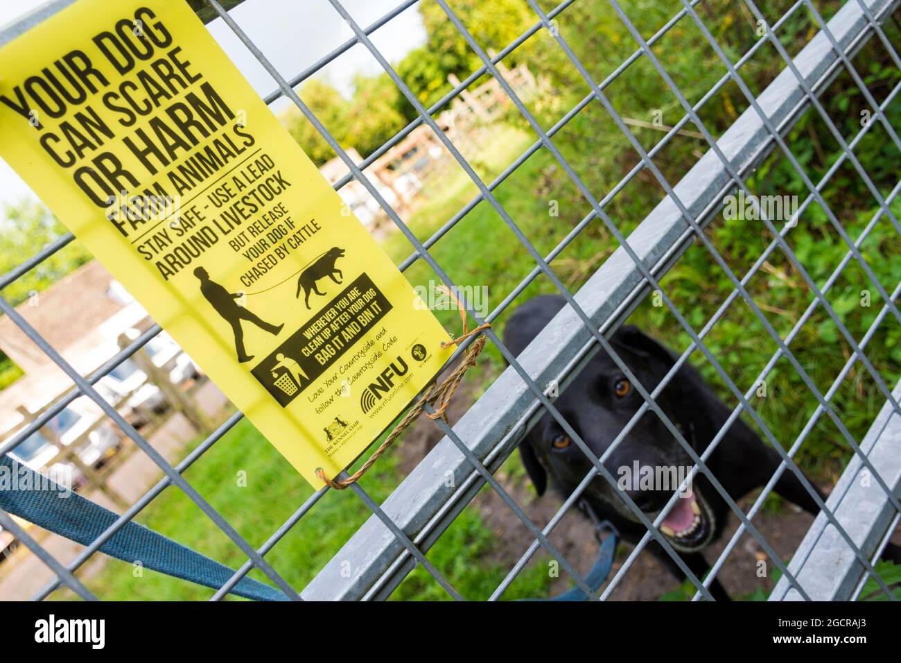 Livestock farms hi-res stock photography and images - Alamy