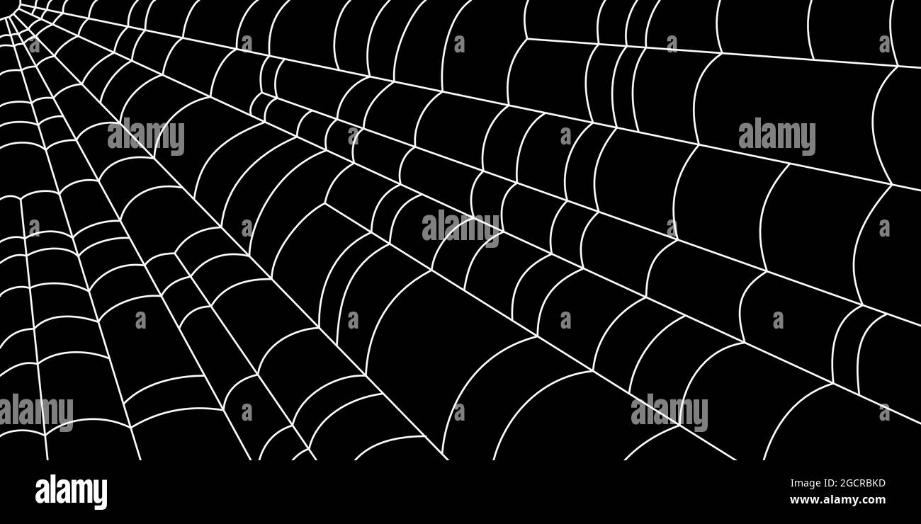 Scary corner spider web. White cobweb silhouette isolated on black ...