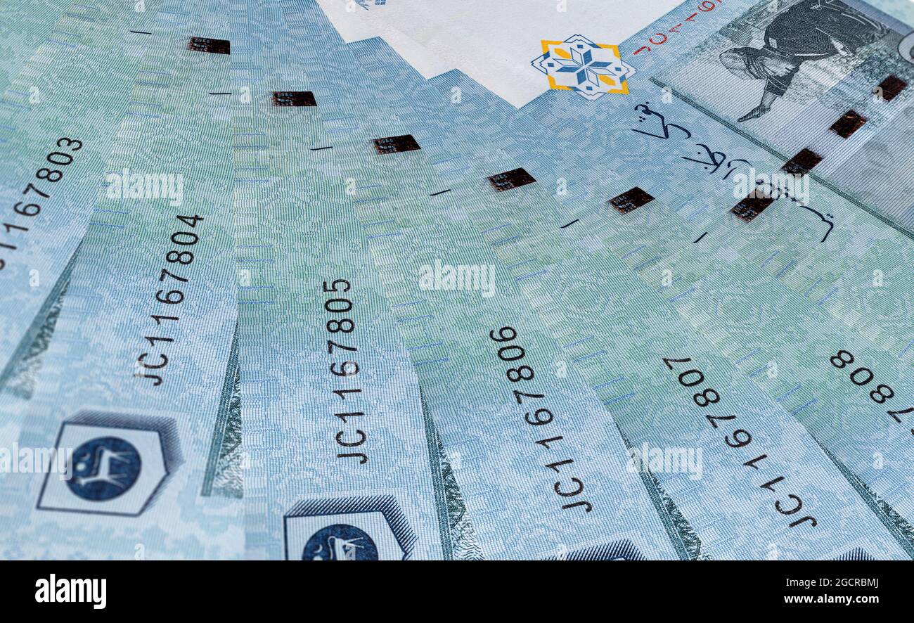 Close up of reverse side of fifty Ringgit Malaysia. Detailed macro ...