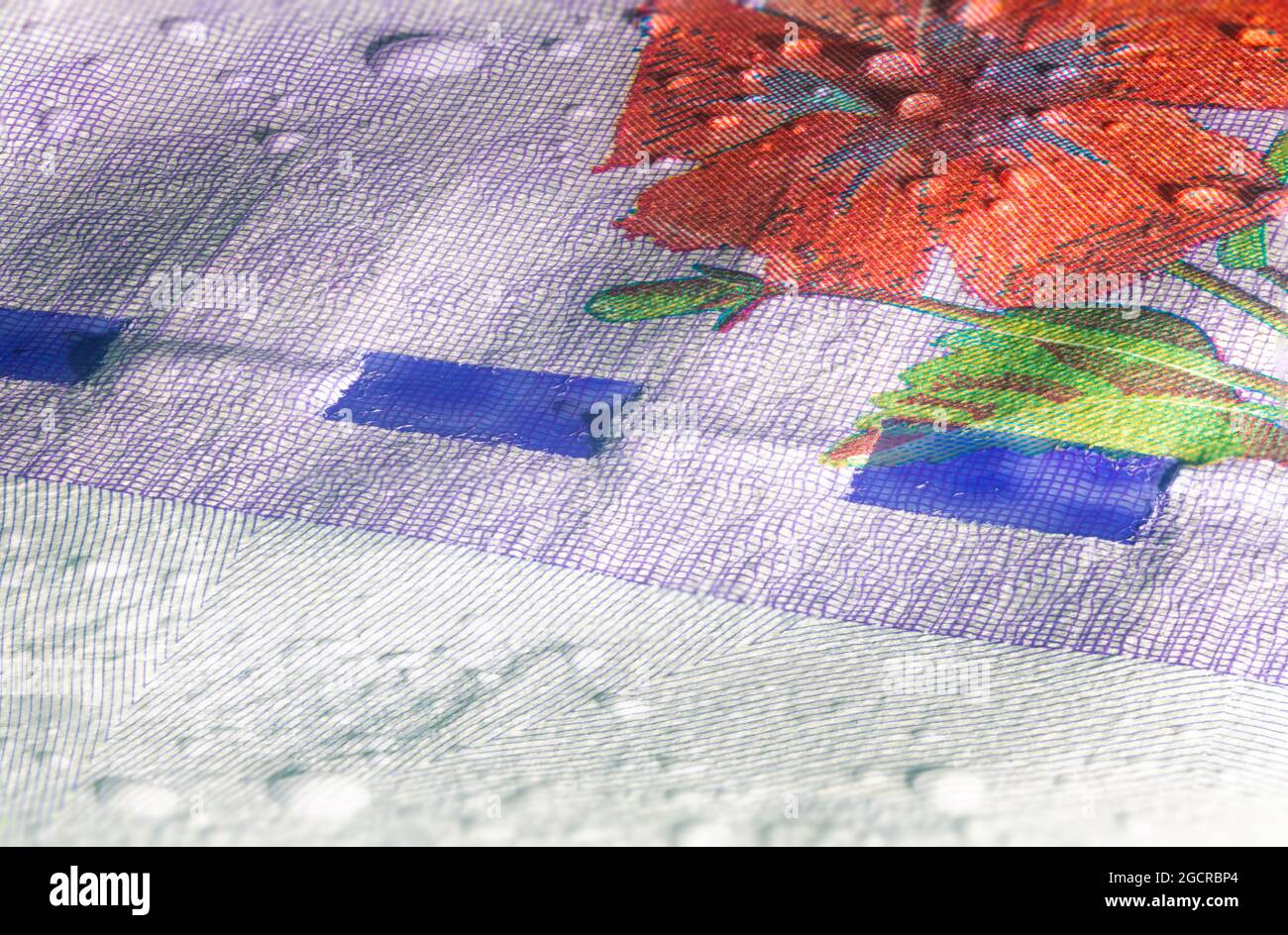 Close-up to the water resistant surface of a 100 Ringgit banknote ...