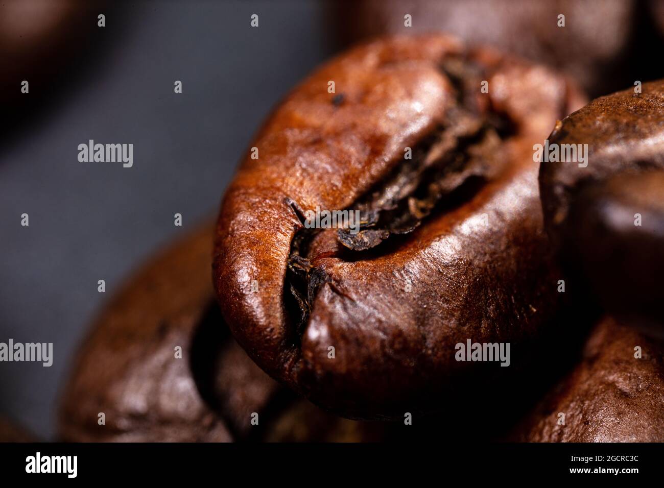 Close up of a coffee bean. Macro panorama photography of coffee beans ...
