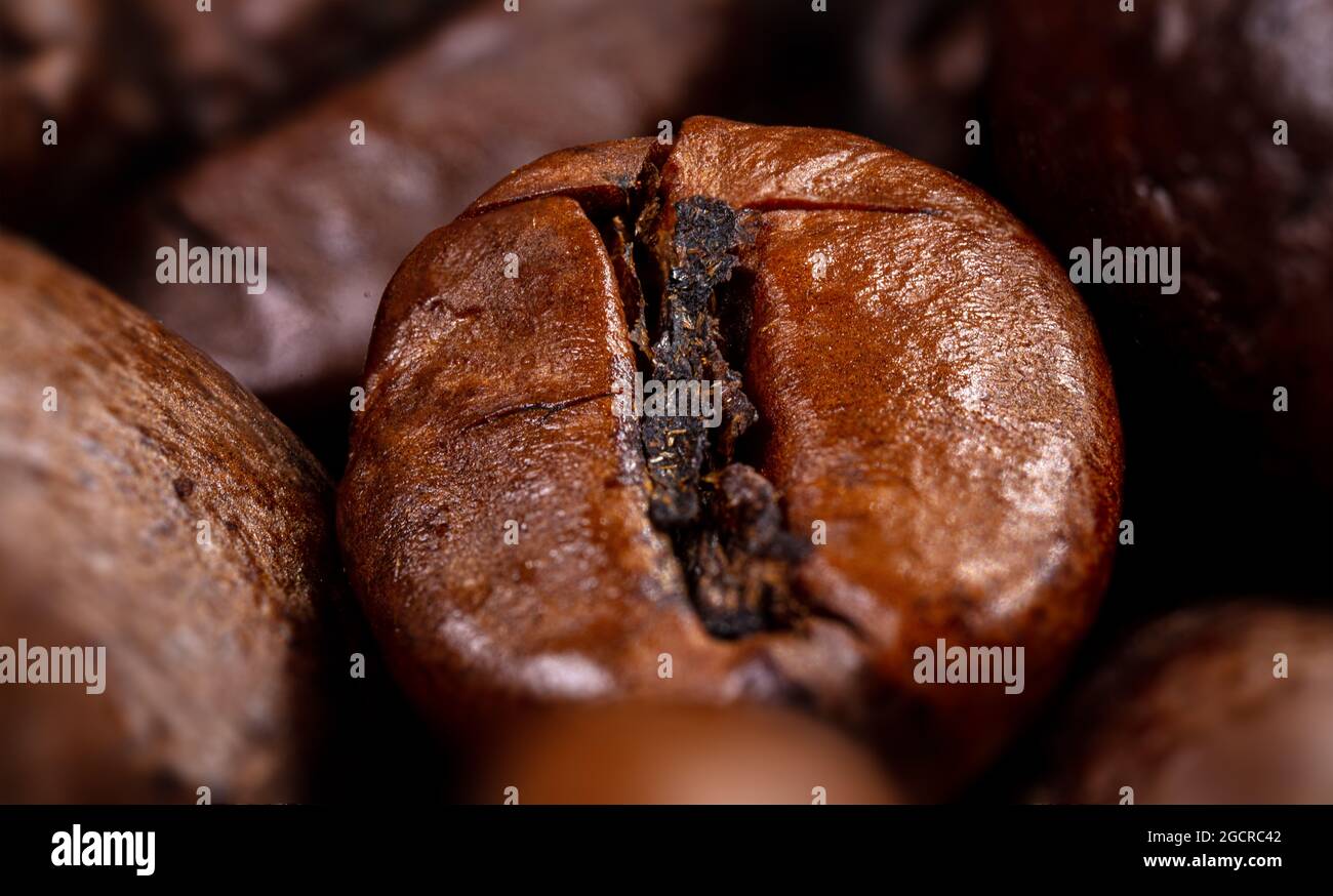 Close up of a coffee bean. Macro photography of coffee beans in high ...