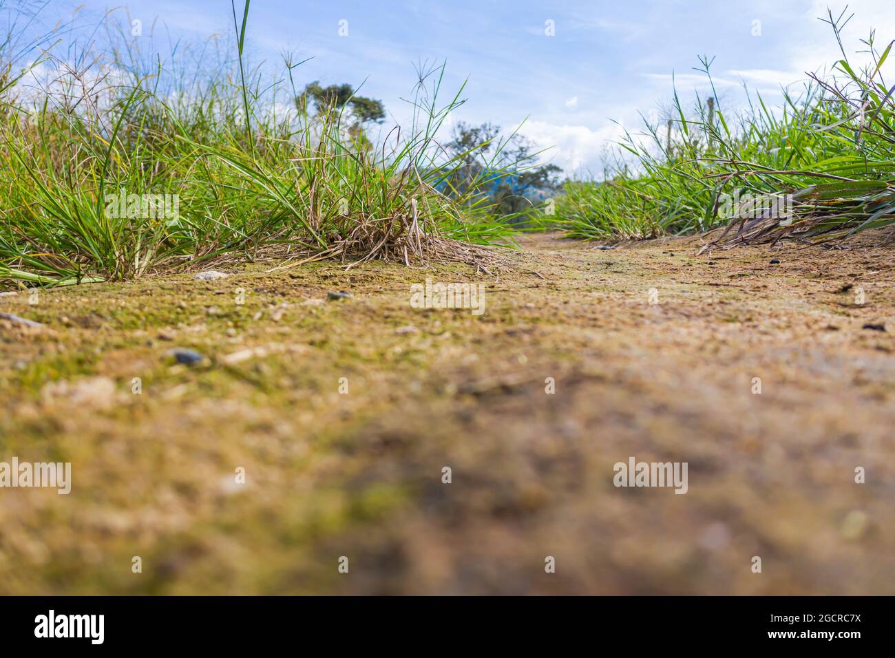 Grounding on grass hi-res stock photography and images - Alamy