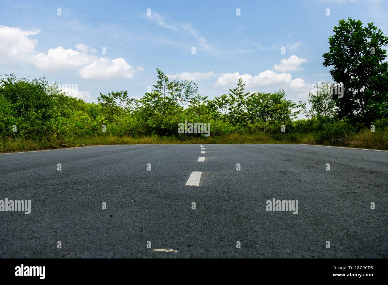 Empty rainforest hi-res stock photography and images - Alamy