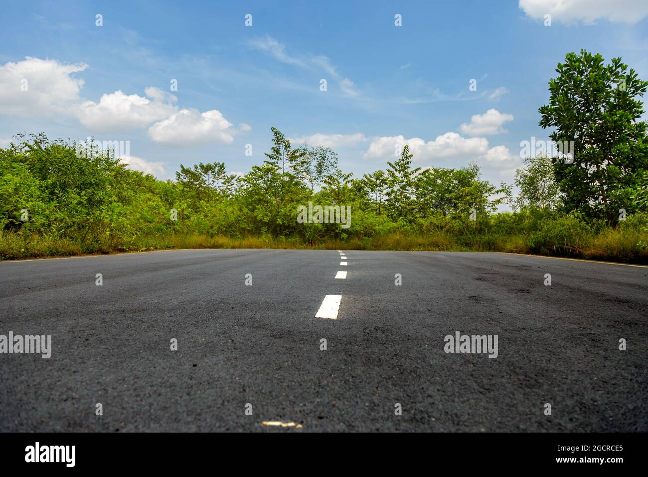 Empty rainforest hi-res stock photography and images - Alamy