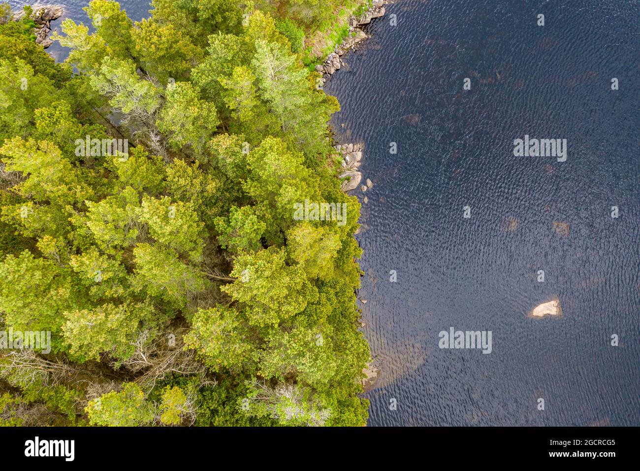 Aerial view of island in Lough Craghy, Tully Lake - Part of the Dungloe ...