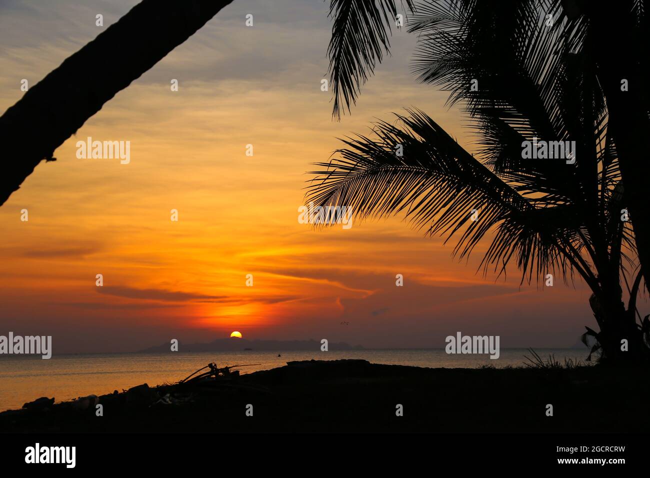 A sunset at the beautiful Thai island of Koh Samui. Sunset between palm ...