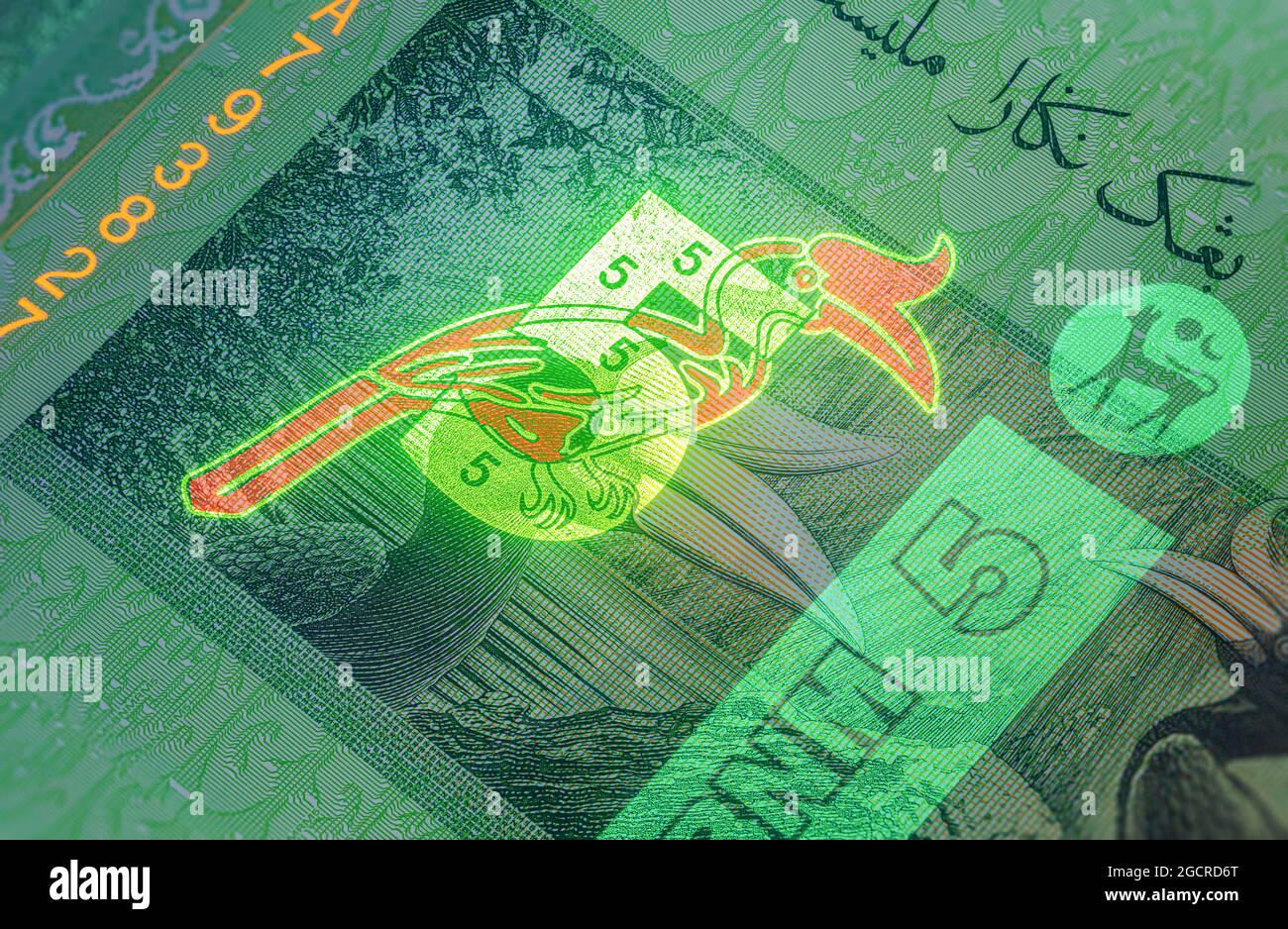 Macro photography of 5 Malaysian ringgit with fluor light. Extreme ...