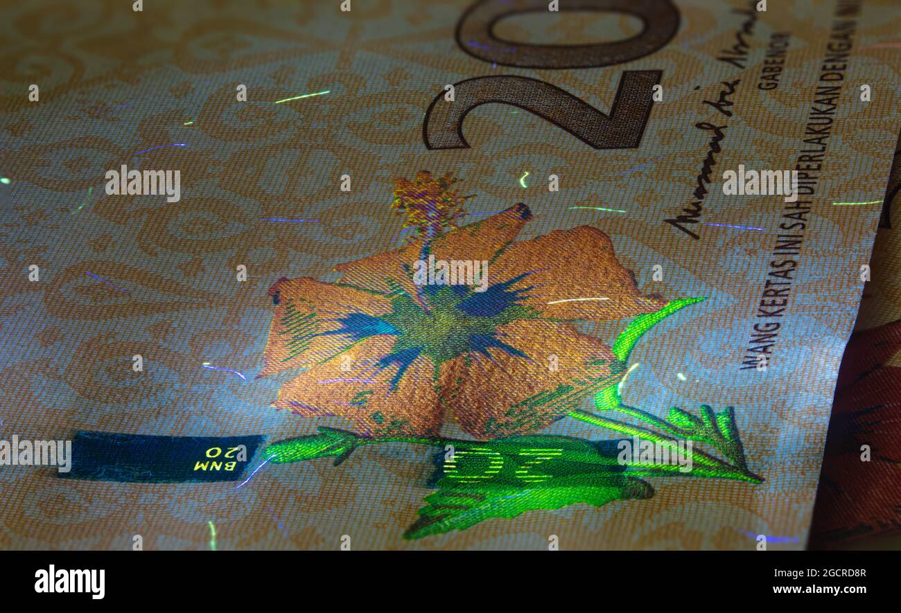 Macro photography of 20 Malaysian ringgit with fluor light. Extreme ...