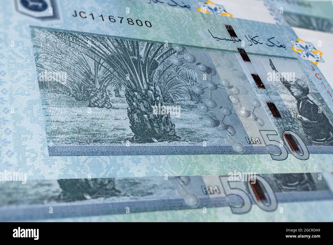 Close up of reverse side of fifty Ringgit Malaysia. Detailed macro ...