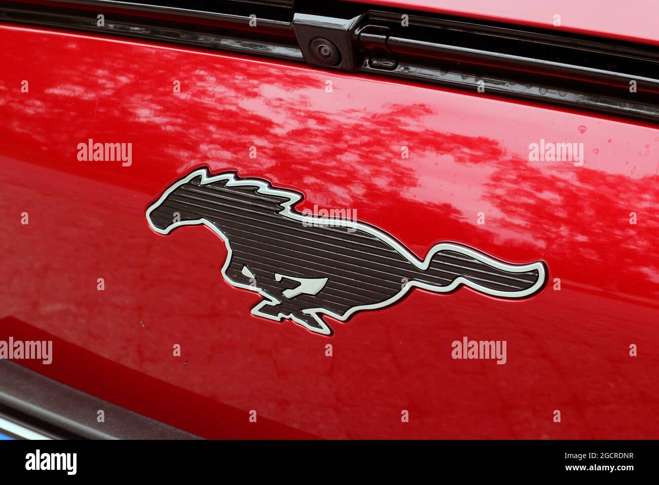 Ford Mustang Mach-E emblem logo Stock Photo - Alamy