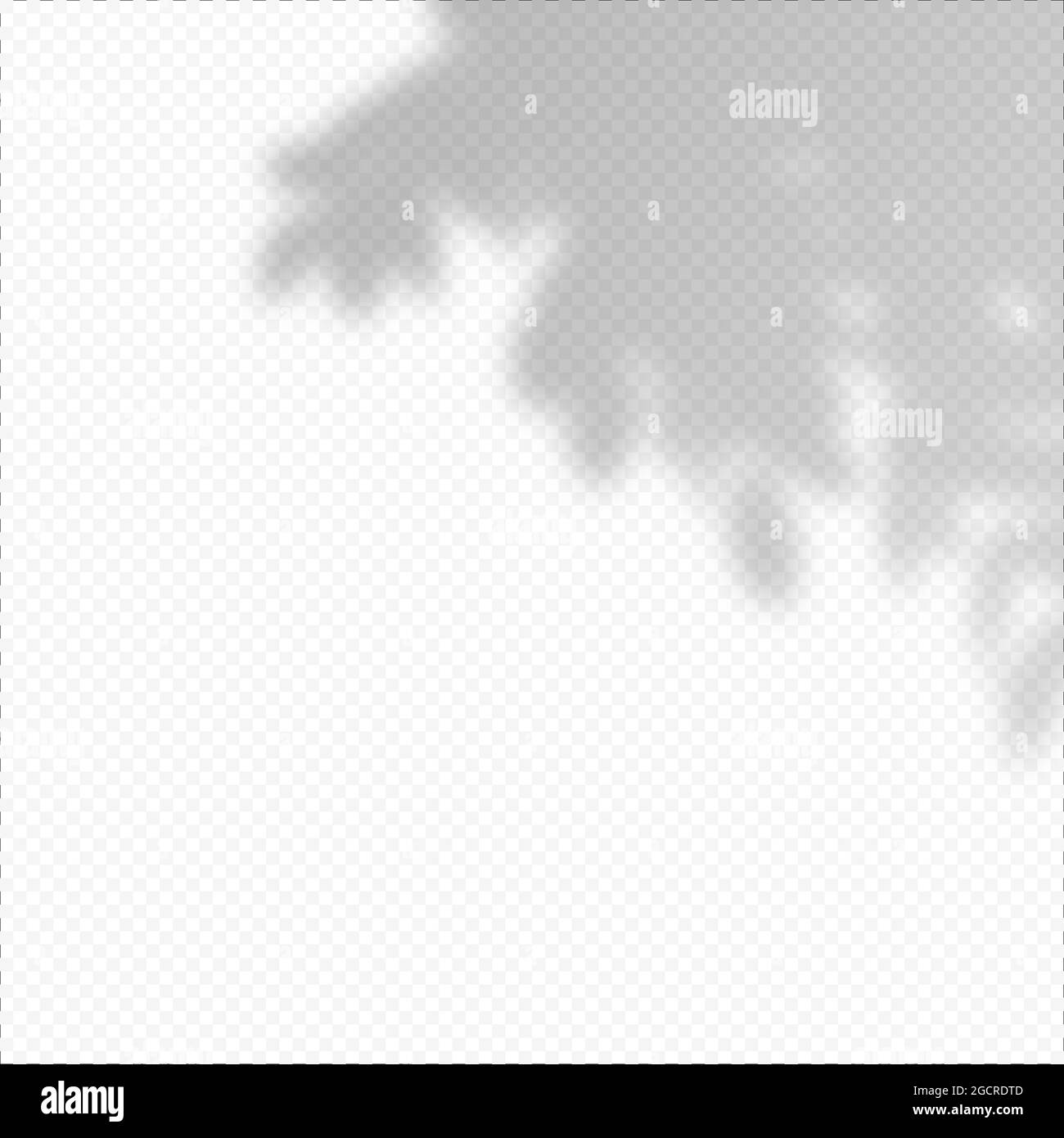 Realistic Vector transparent overlay blured shadow of branch leaves ...