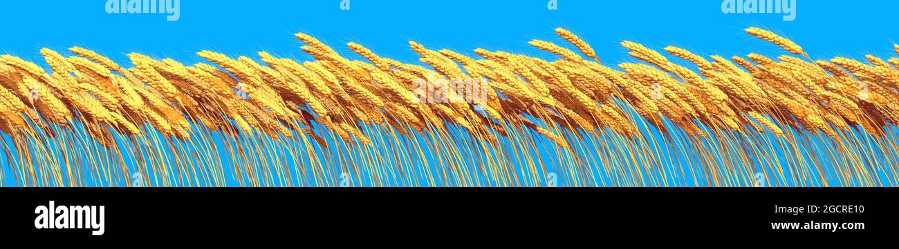 Crop backdrop hi-res stock photography and images - Alamy