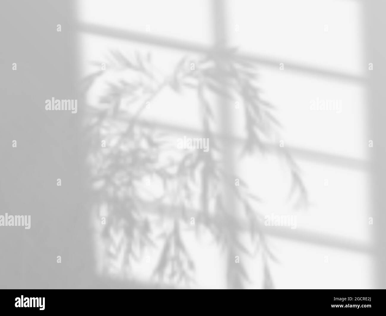 Modern shadow overlay, great design for any purposes. Blurred soft ...