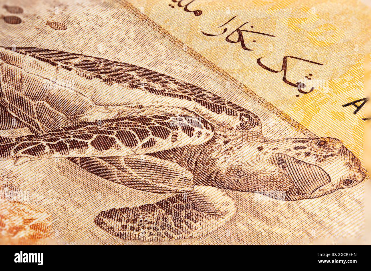 Macro close up of 20 Malaysian ringgit. Extreme close up of RM20 ...