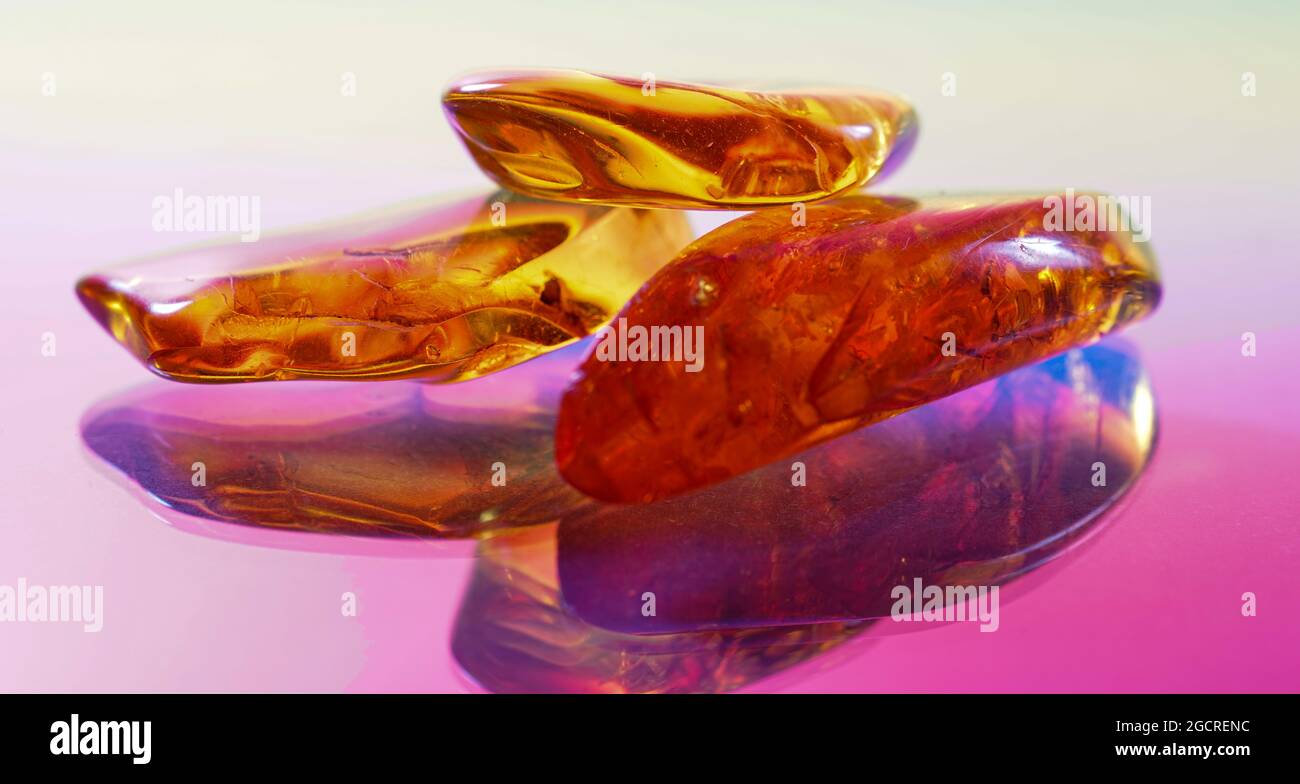 Amber made of yellow transparent fossil resin with insect inclusions ...