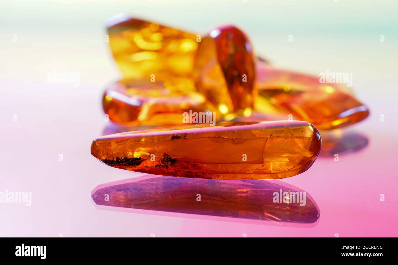 Amber made of yellow transparent fossil resin with insect inclusions ...