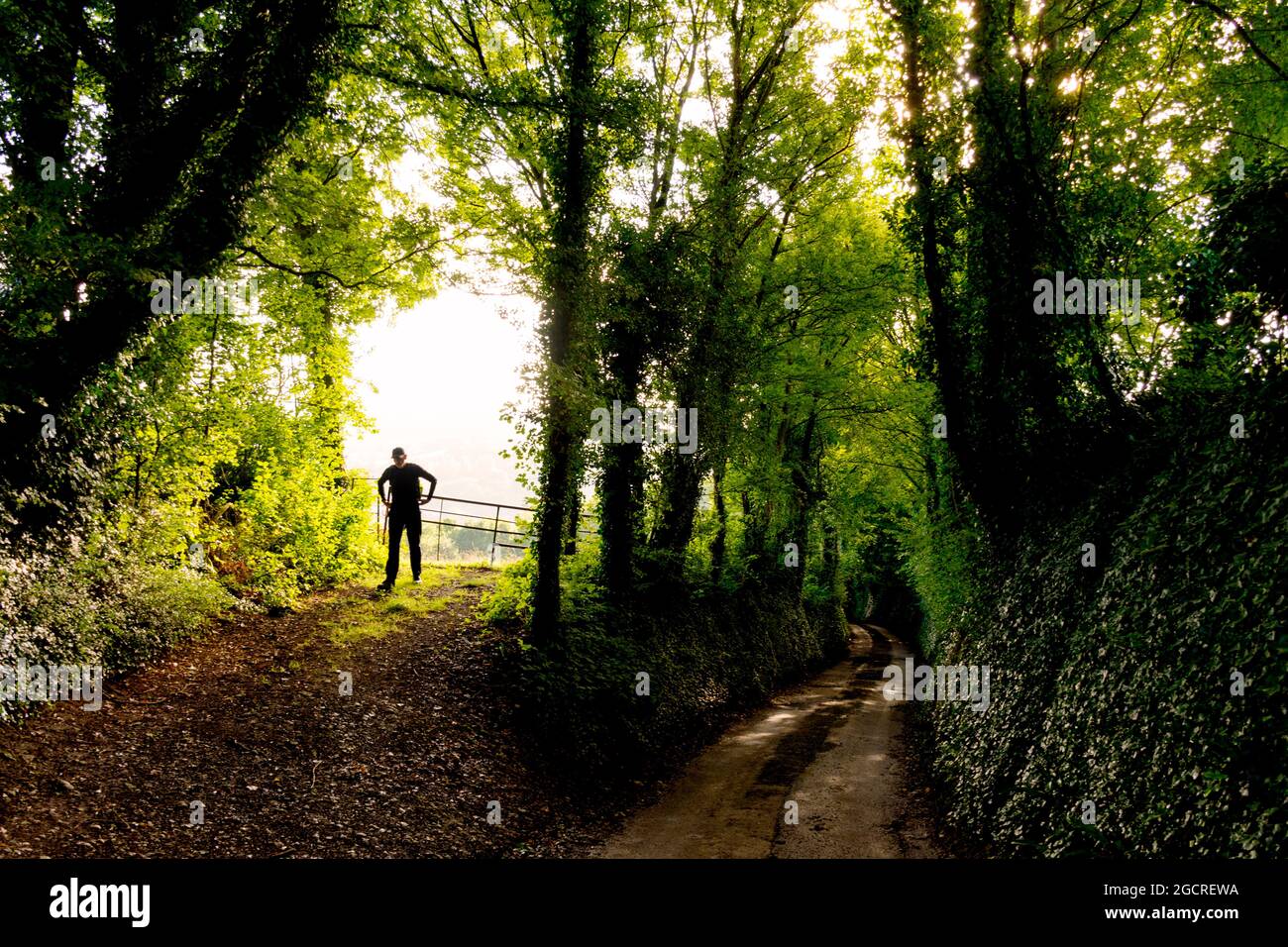 Batheaston, England, UK weather. 10th August 2021. A walker climbs up ...