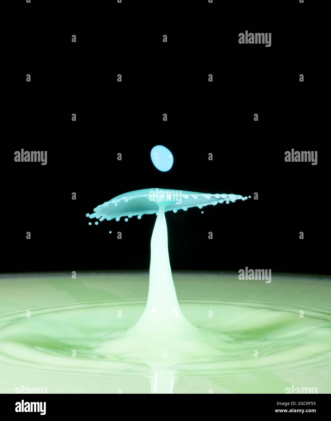 Close-up photograph of two water droplets colliding making an unusual ...