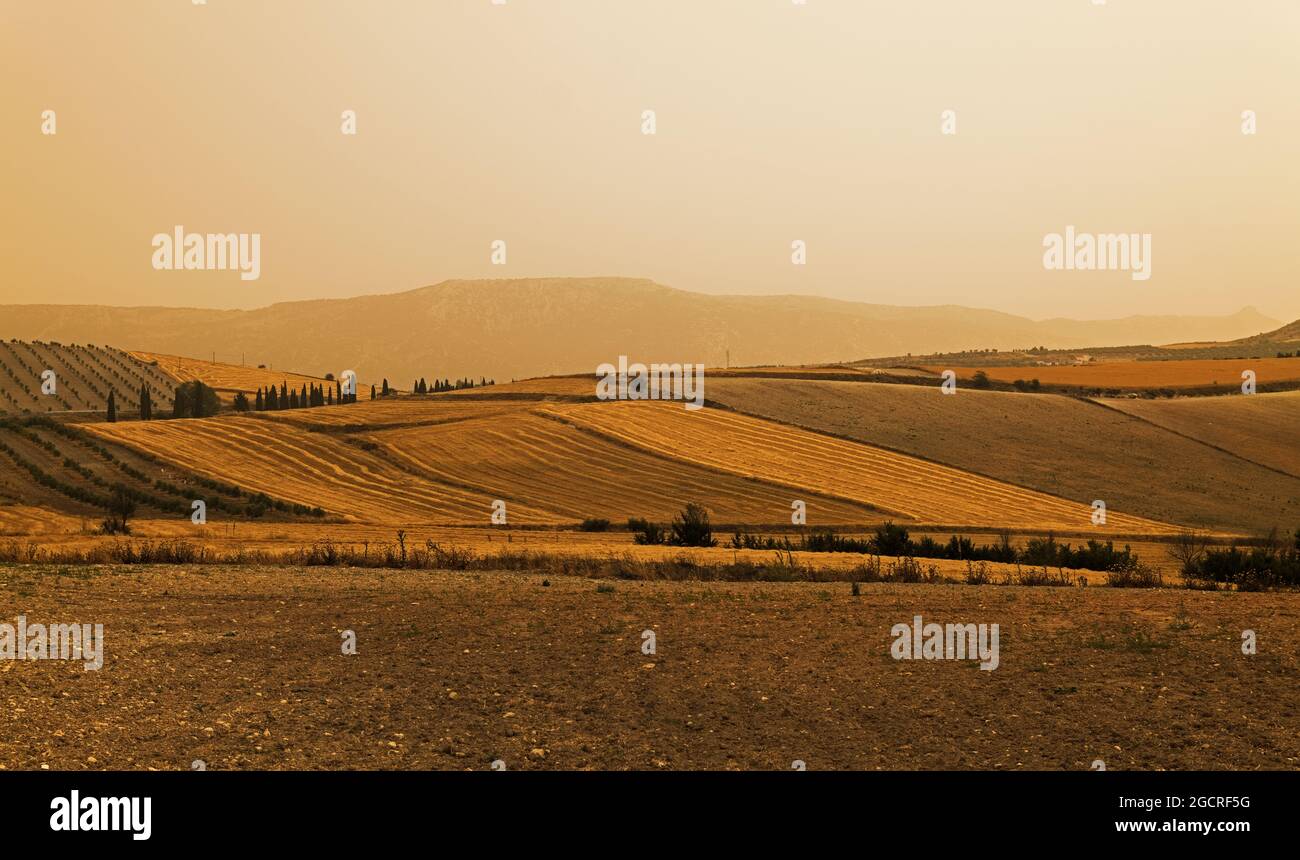 Beautiful landscape farmland in andalusia hi-res stock photography and ...