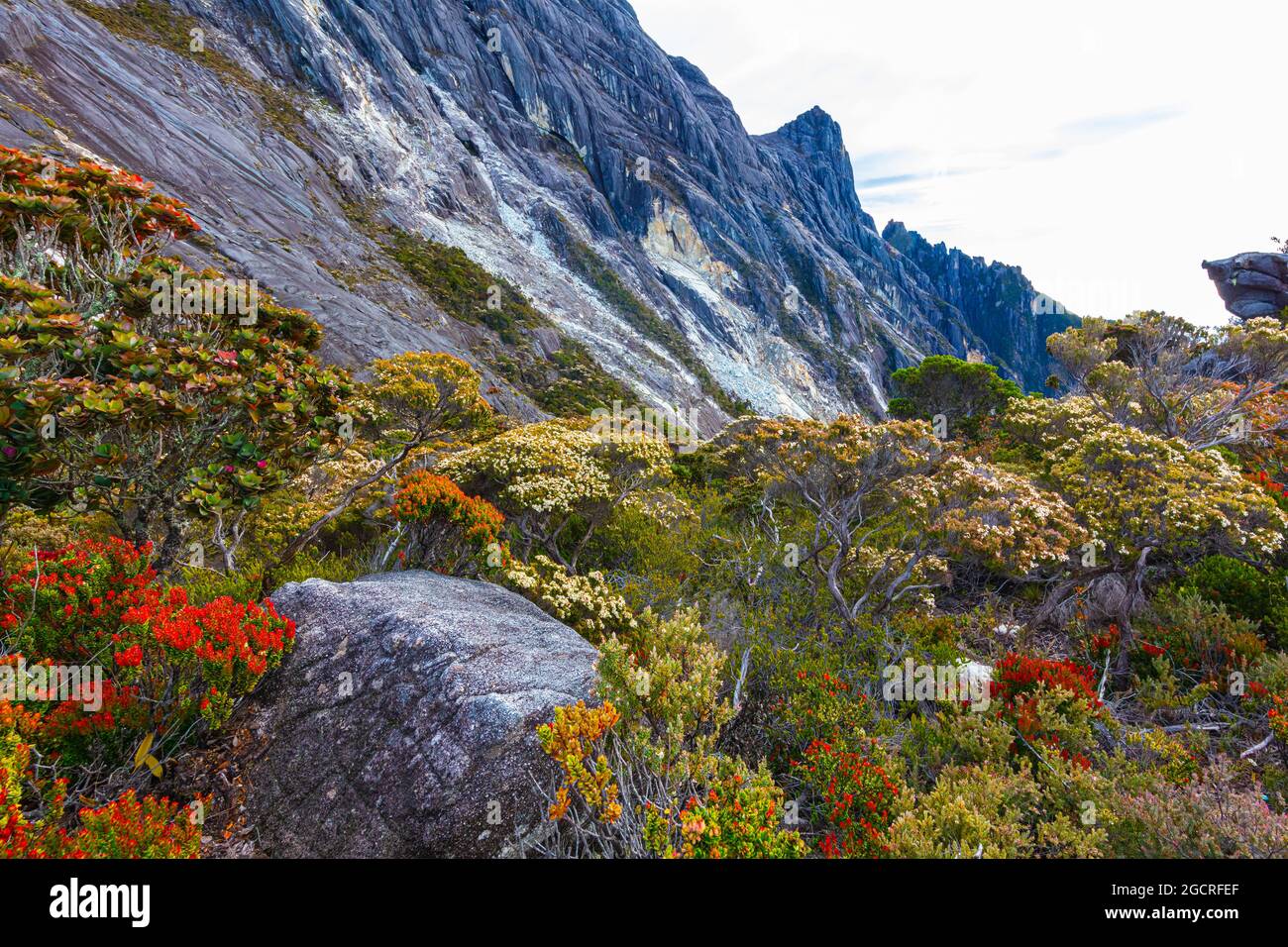 At the peak of Mount Kinabalu, Sabah, Borneo, Malaysia. The Mt Kinabalu ...