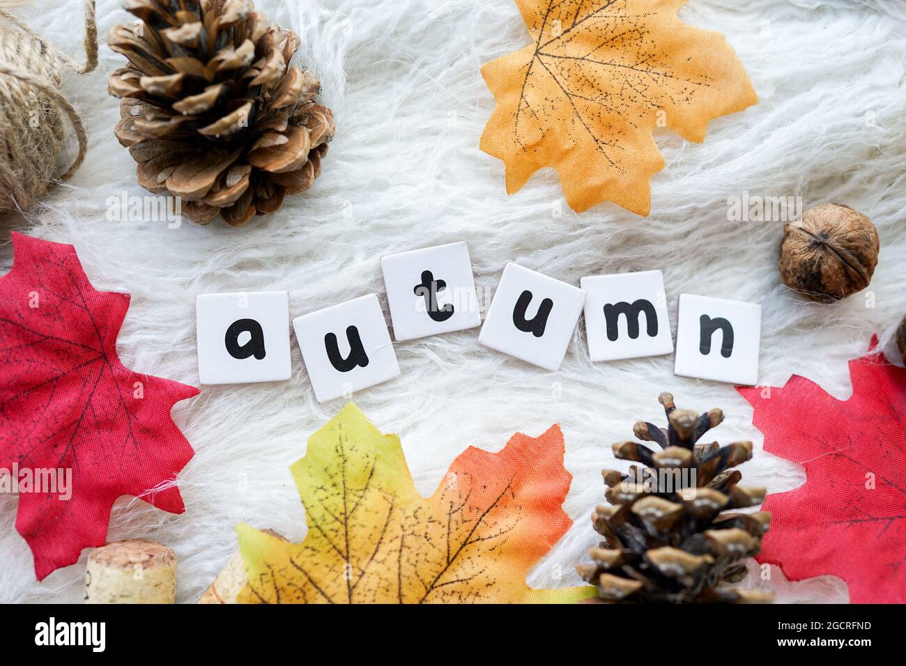 The word autumn written with wooden letters and dry leaves on white ...