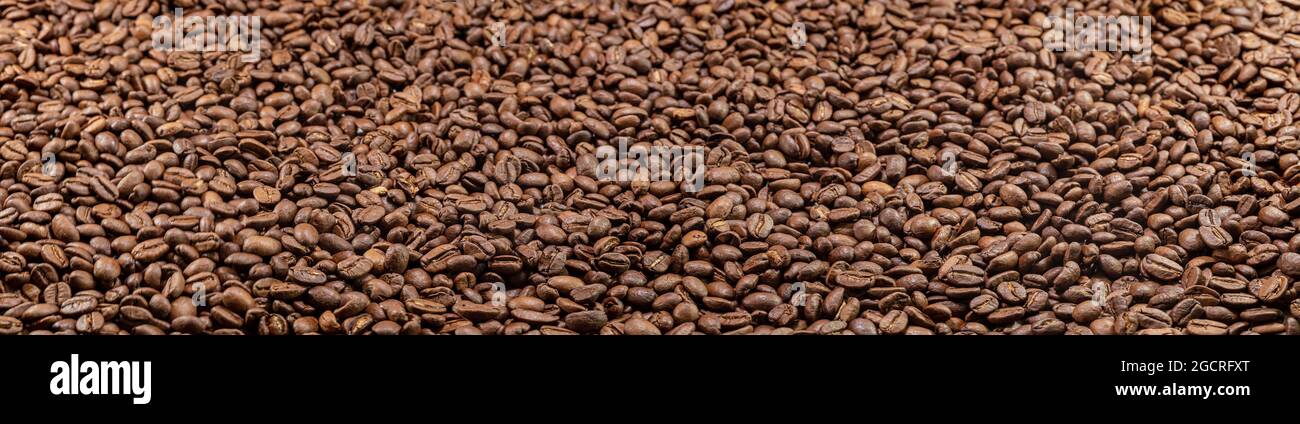 Super large high resolution panorama macro photography of a huge heap ...