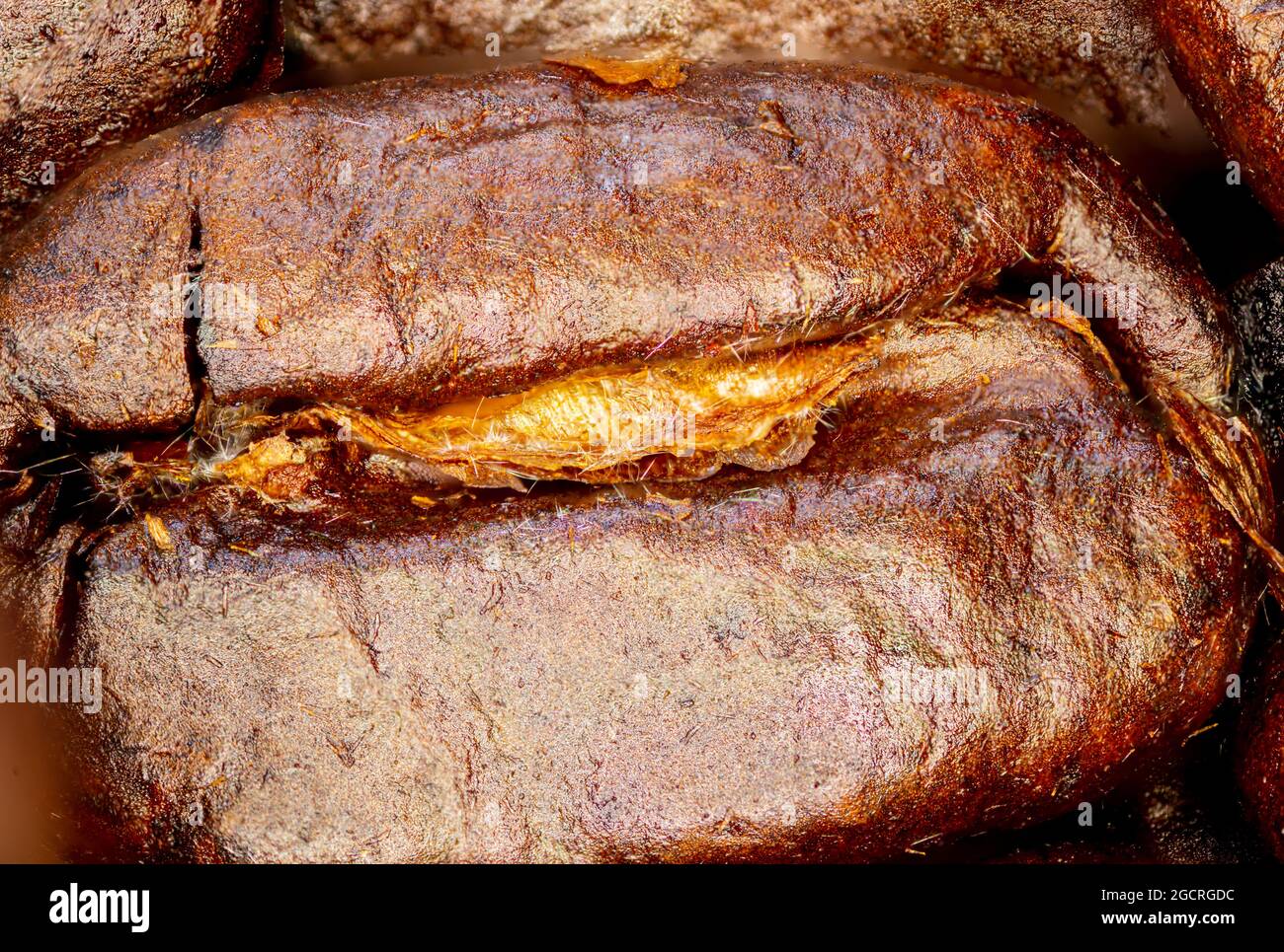 Caffeine microscope hi-res stock photography and images - Alamy