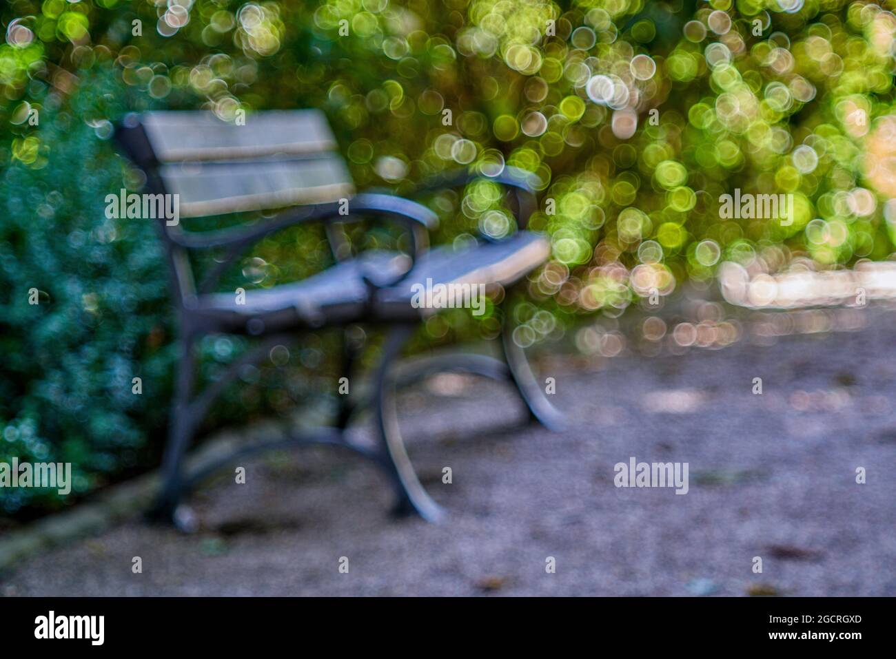 Bubble bokeh and floral abstracts photographed with Meyer Optik Gorlitz ...