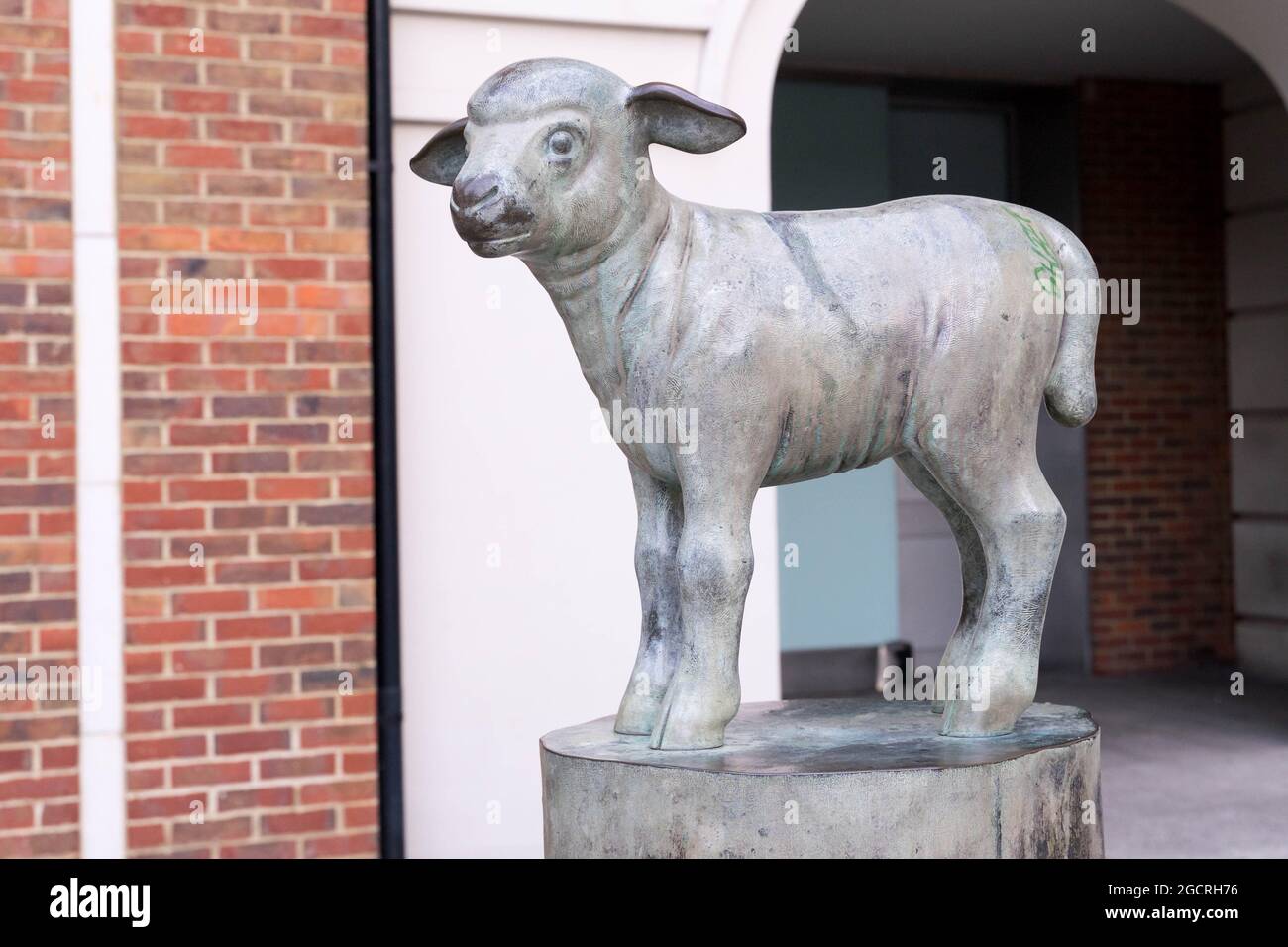 bronze sculpture of a lamb at Canterbury Kent England Stock Photo - Alamy