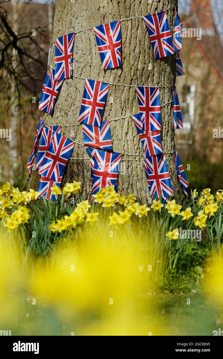 union jack flags around tree trunk Stock Photo - Alamy