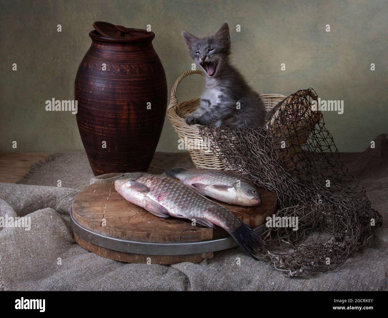 Still life with fish and little kitten Stock Photo - Alamy