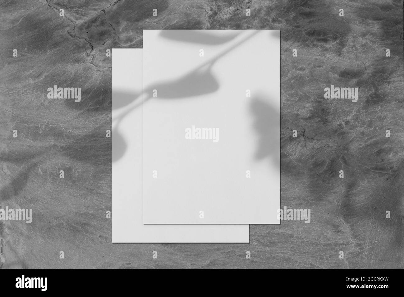 Rectangle tree Black and White Stock Photos & Images - Alamy