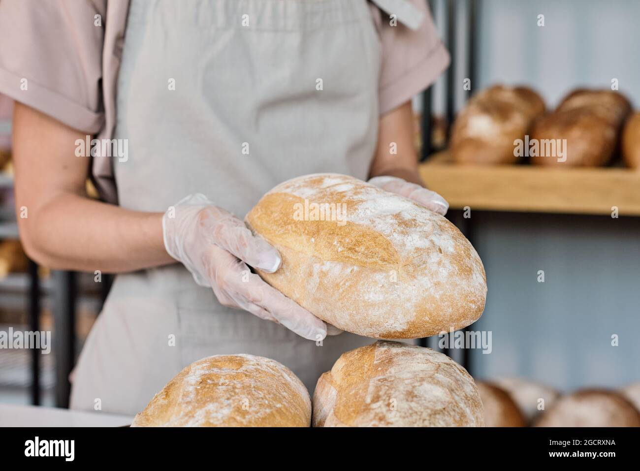 Gloved hand female baker hi-res stock photography and images - Alamy