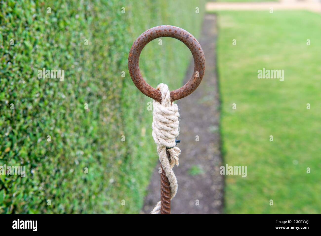 Cambridge , Uk 27-July-2021, Metal stake with neatly tied rope Stock ...