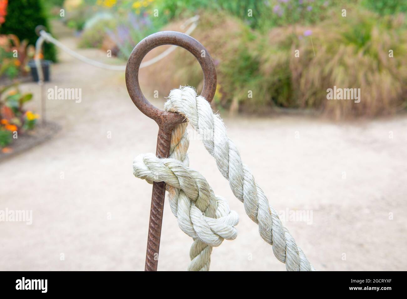 Cambridge , Uk 27-July-2021, Metalgarnening stake with neatly tied rope ...