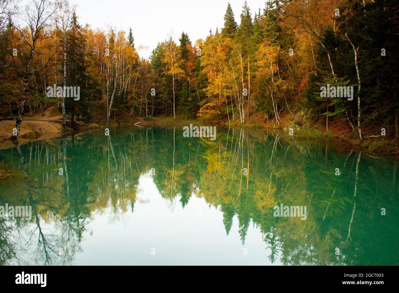 Pond in an enchanting forest Stock Photo - Alamy