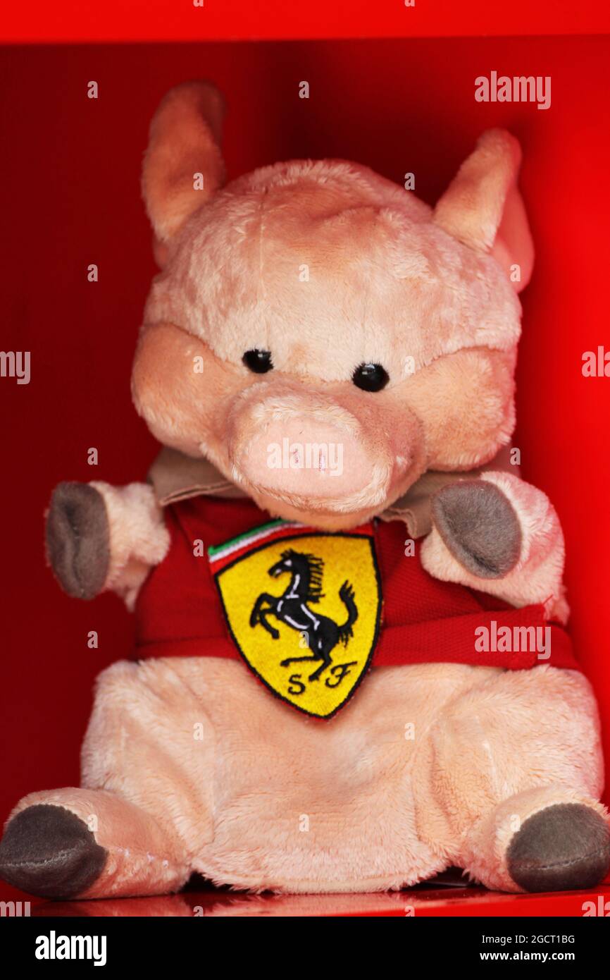 Ferrari pig mascot hi-res stock photography and images - Alamy