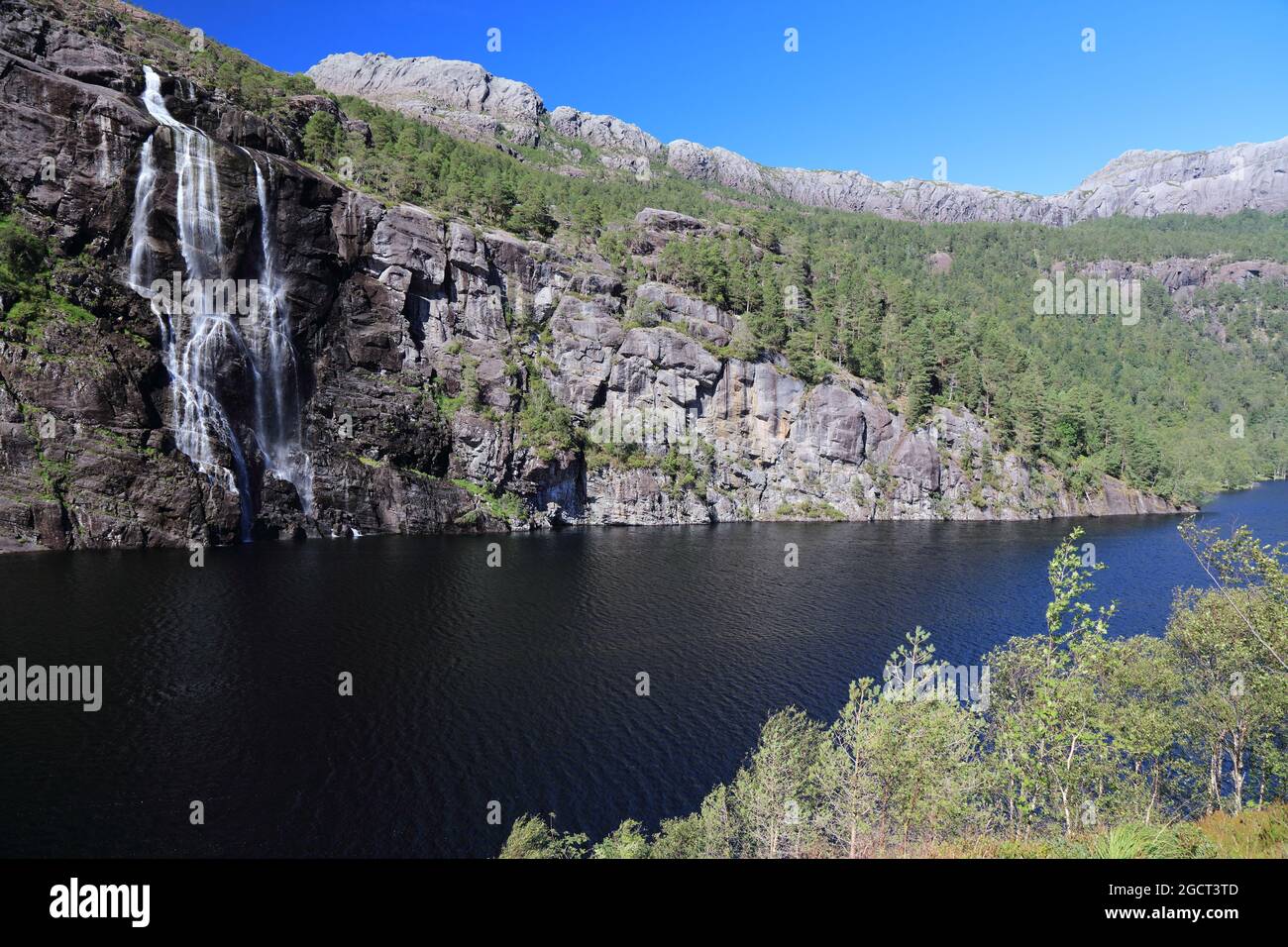 Flora of norway hi-res stock photography and images - Alamy