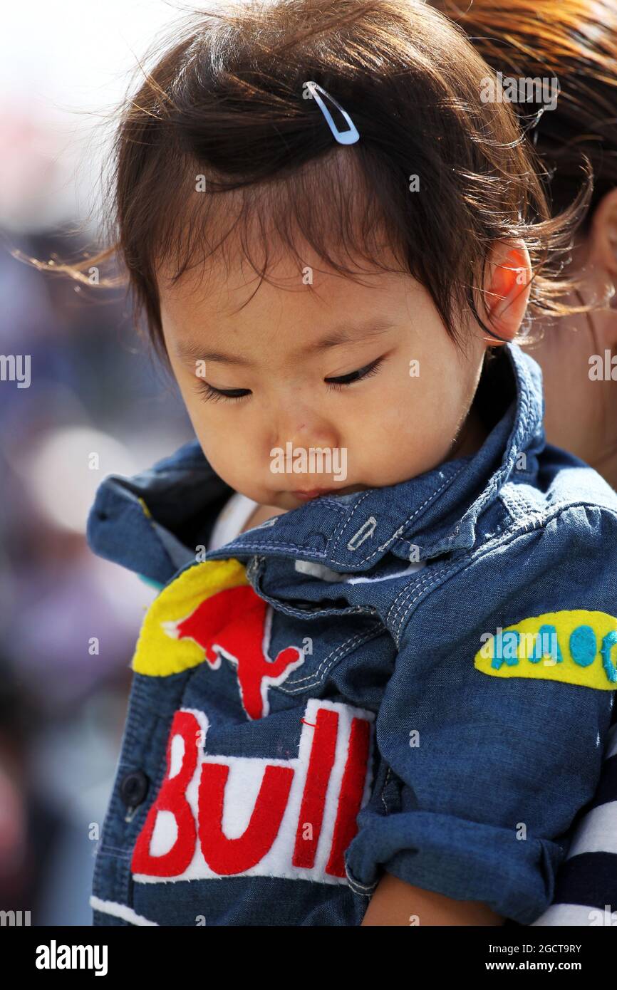A young red bull racing fan hi-res stock photography and images - Alamy