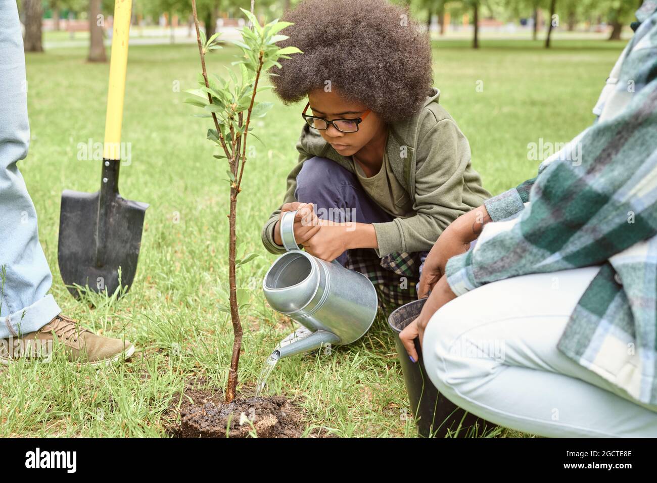 Little African boy watering small tree after planting it in park Stock ...